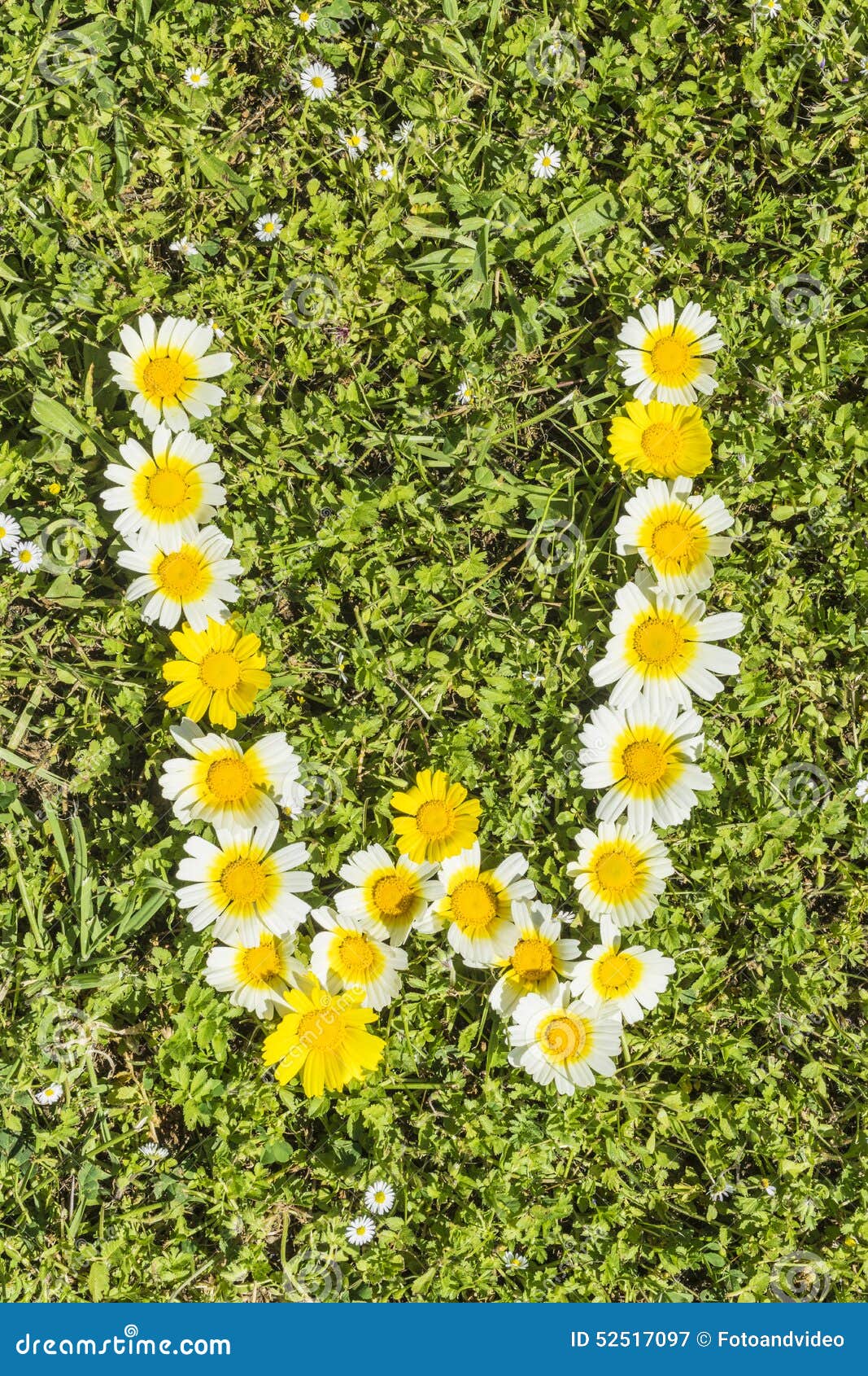 Letter W flower alphabet stock image. Image of birthday - 52517097