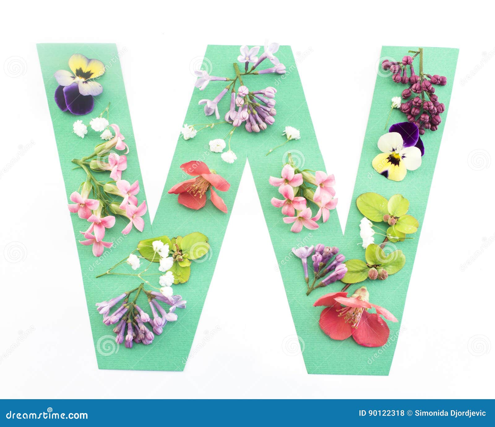 Letter W Made of Spring Flowers and Paper Stock Photo - Image of breath ...