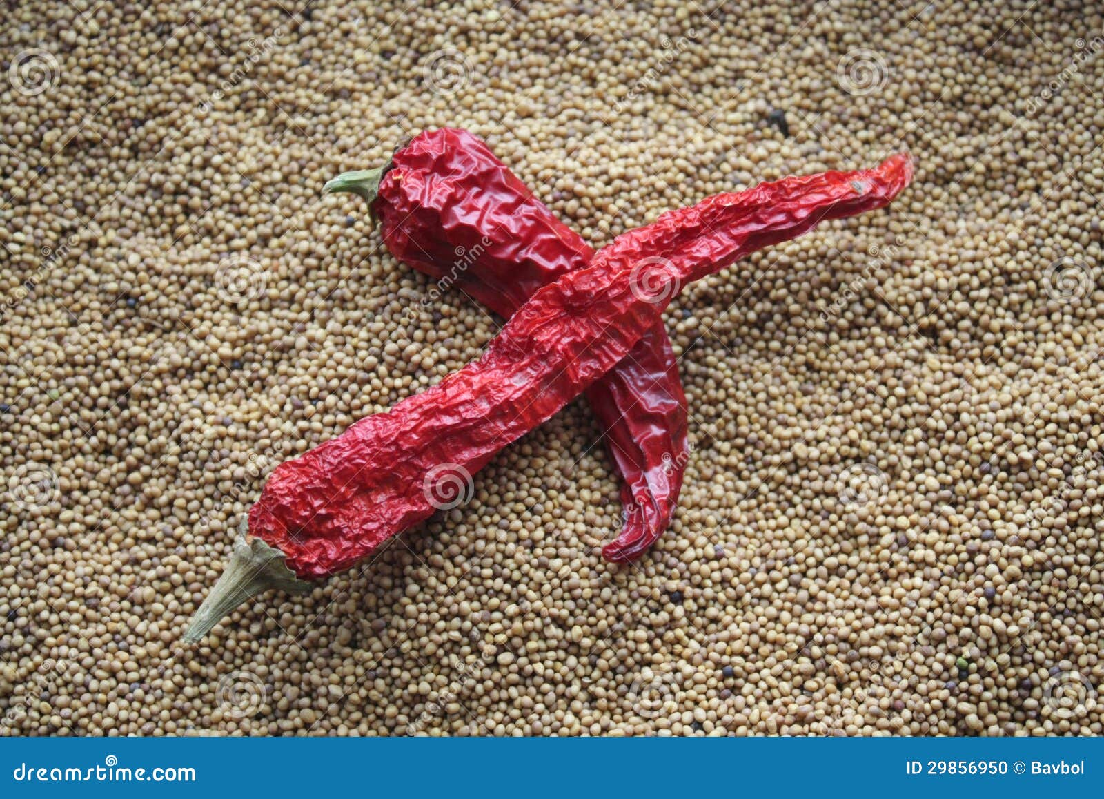 Mustard Letter Writing Stock Photos - Free & Royalty-Free Stock Photos ...