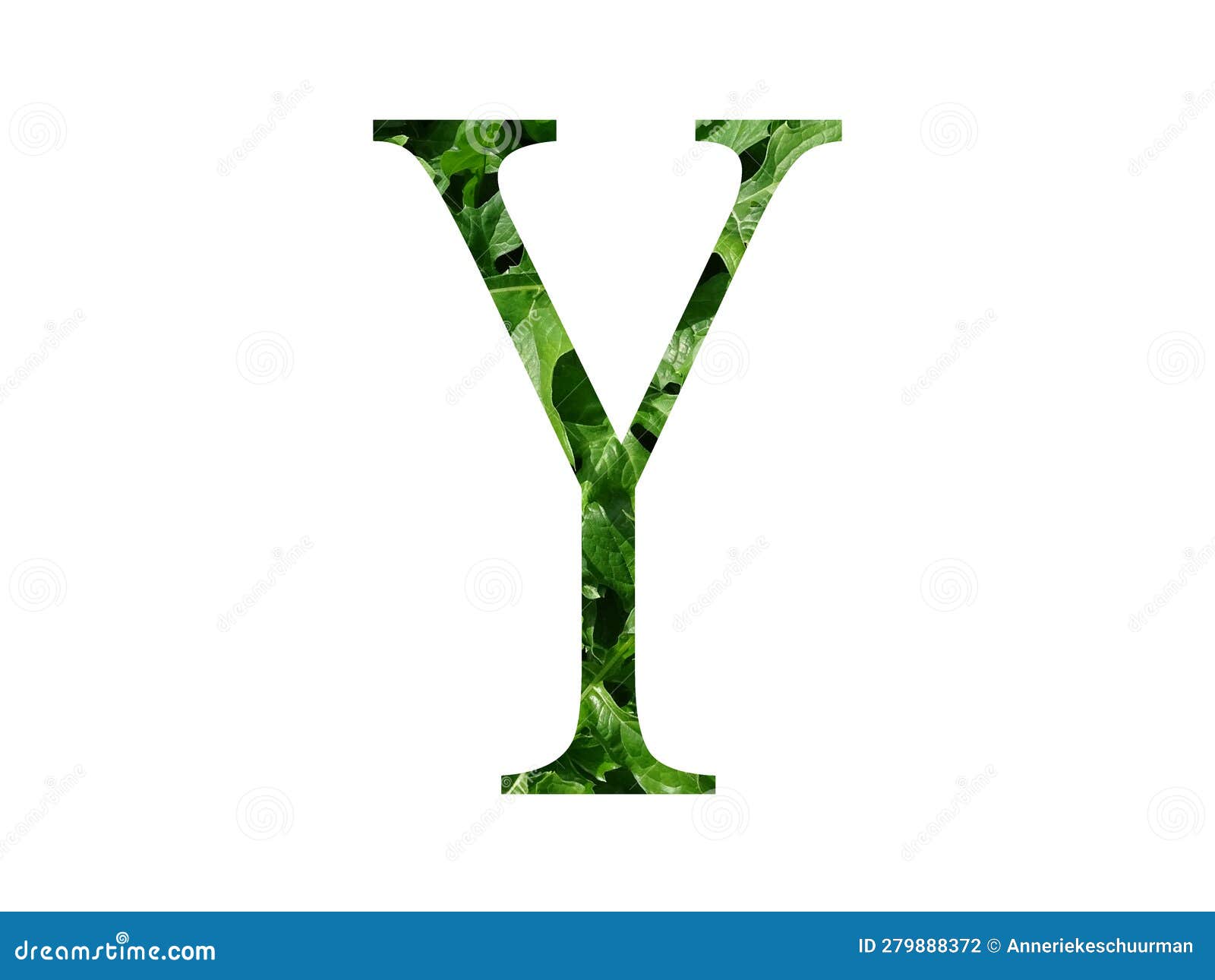 Letter Y of the Alphabet Made with Fresh Green Leaf Stock Illustration ...