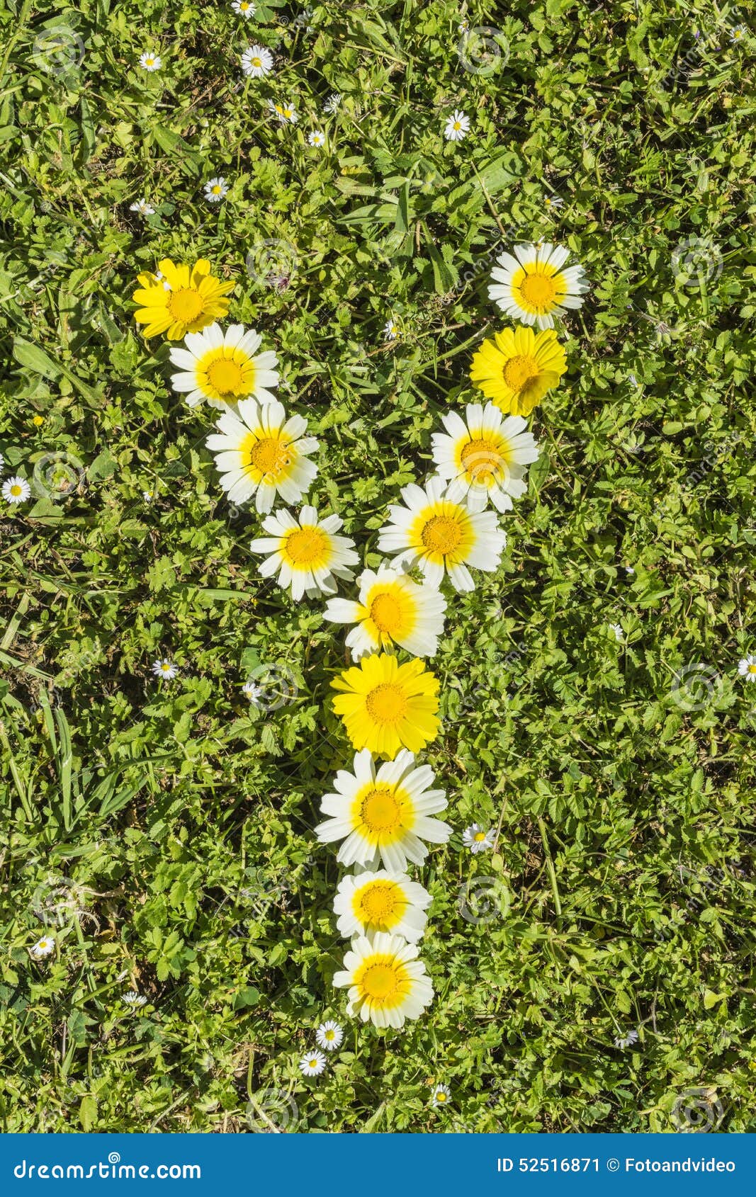 Letter Y flower alphabet stock image. Image of alphabet - 52516871