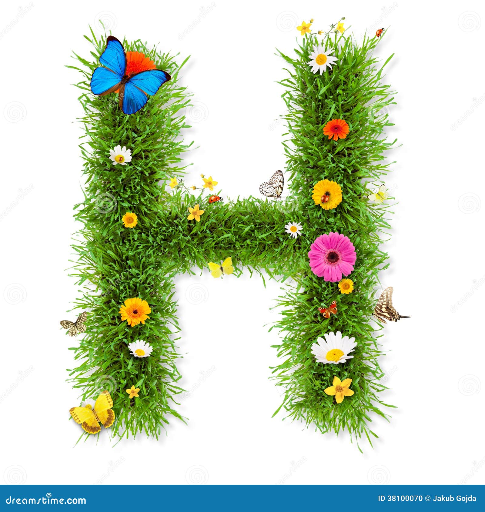 Lettera H della primavera illustrazione di stock. Illustrazione di idea ...