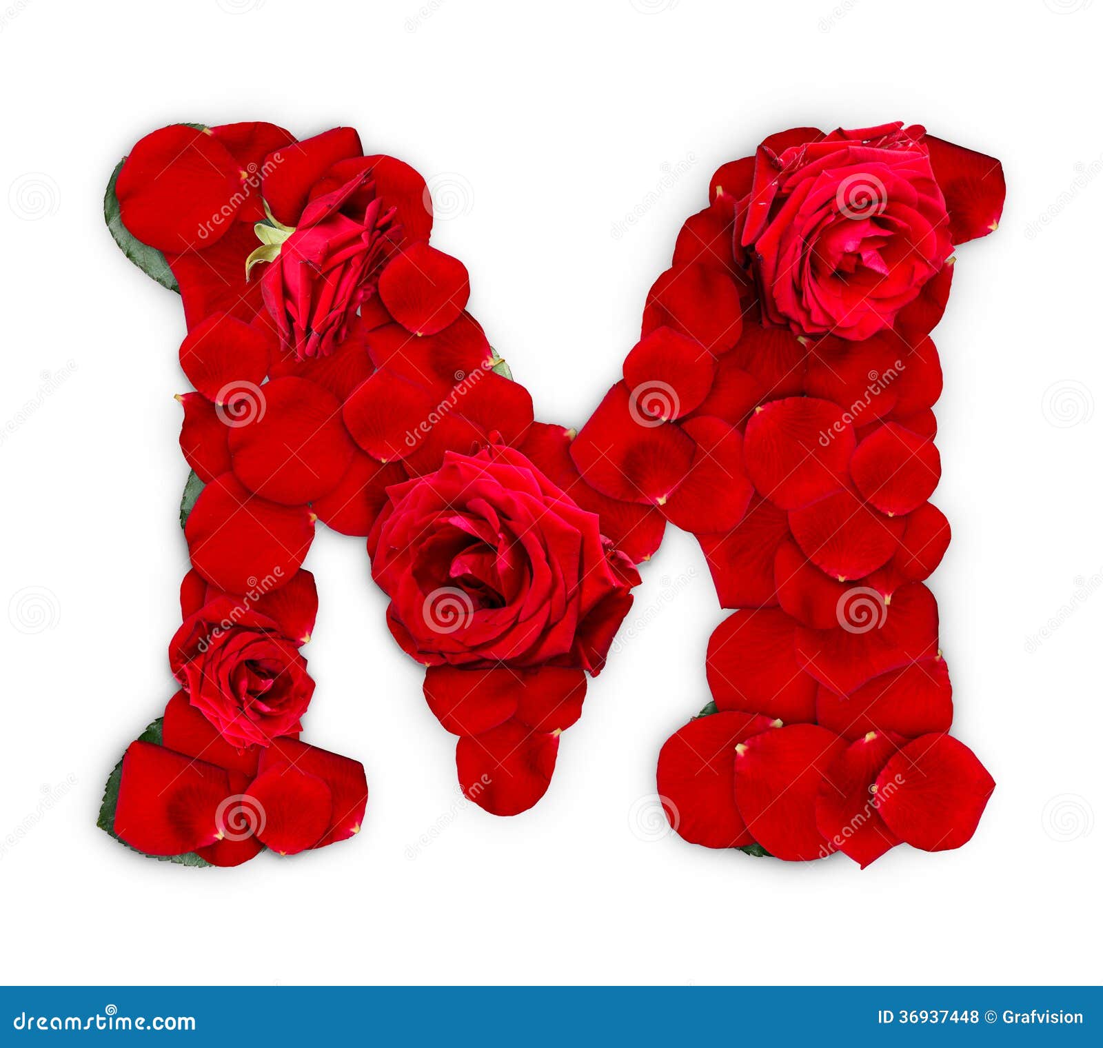 Lettera m. fotografia stock. Immagine di fiore, floreale - 36937448