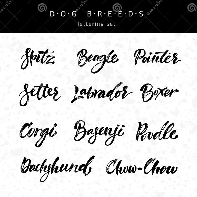 Lettering dog breeds stock vector. Illustration of brush - 85107474
