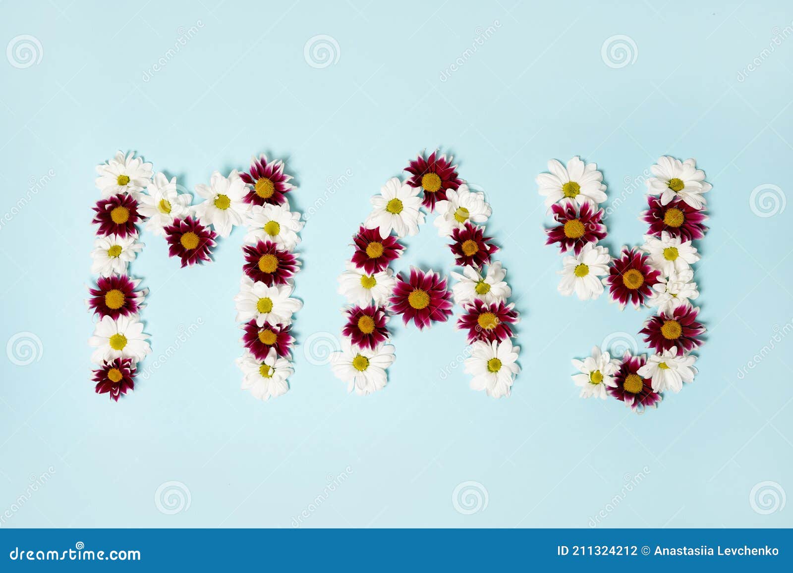 The Lettering May, Made of Flowers on Blue Background. Hello, May Stock ...