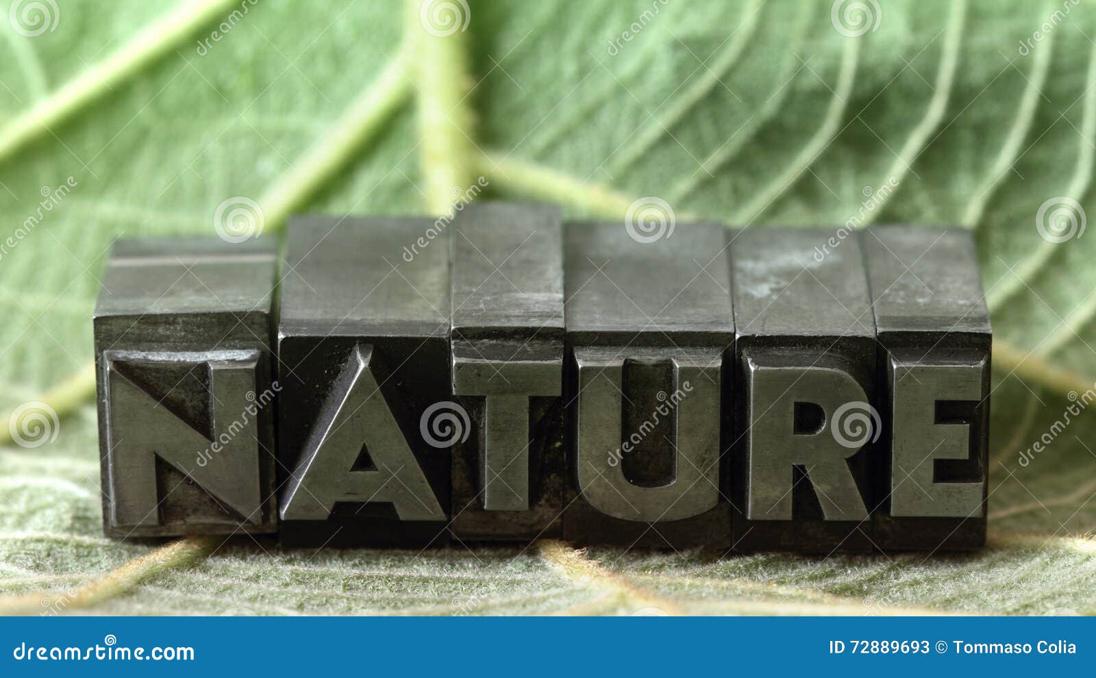 Letterpress Green Nature Message Stock Image - Image of environmental ...