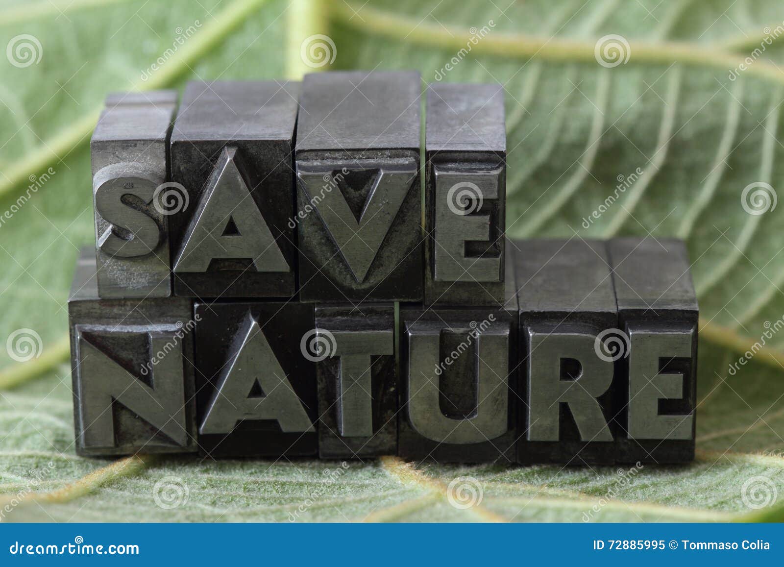 Letterpress Save Nature Eco Message Stock Image - Image of nature ...