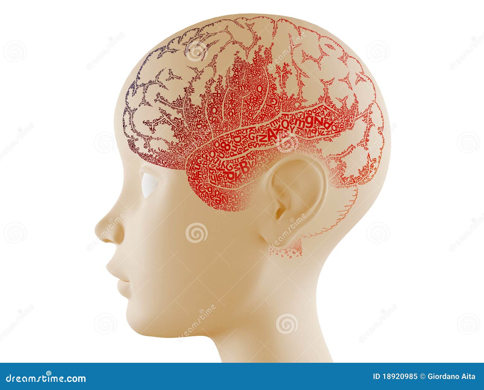 Letters brain stock illustration. Illustration of intelligence - 18920985