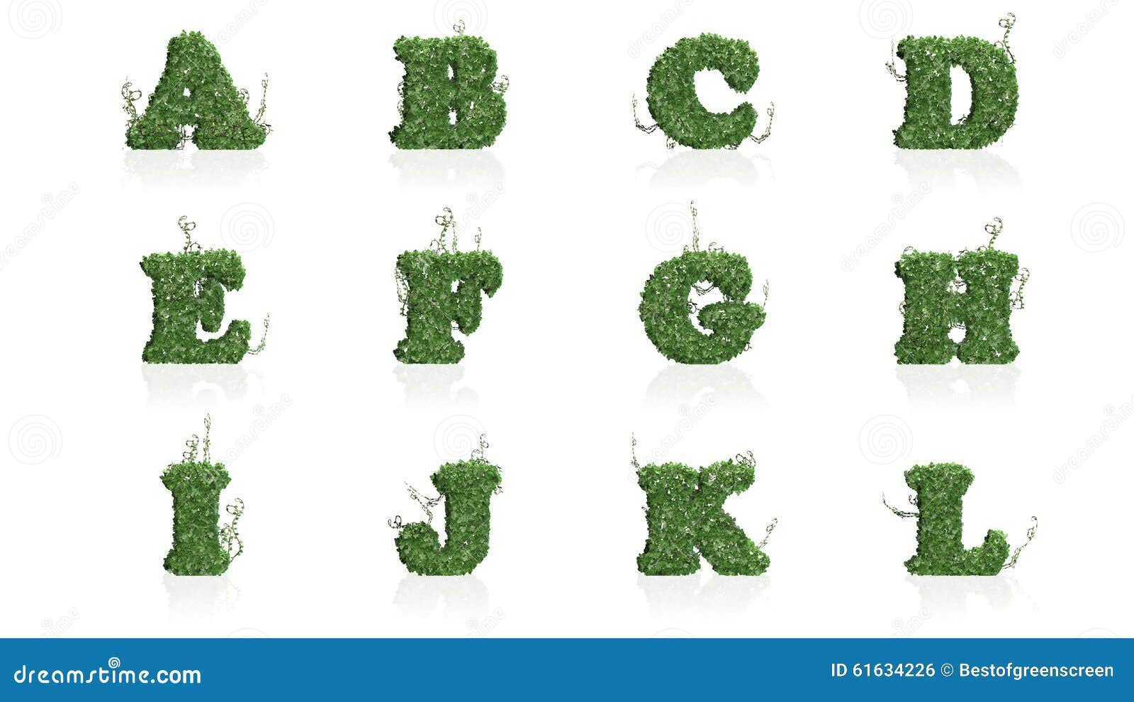 Letters a - L of Green Ivy Leaves with Reflection Stock Illustration ...