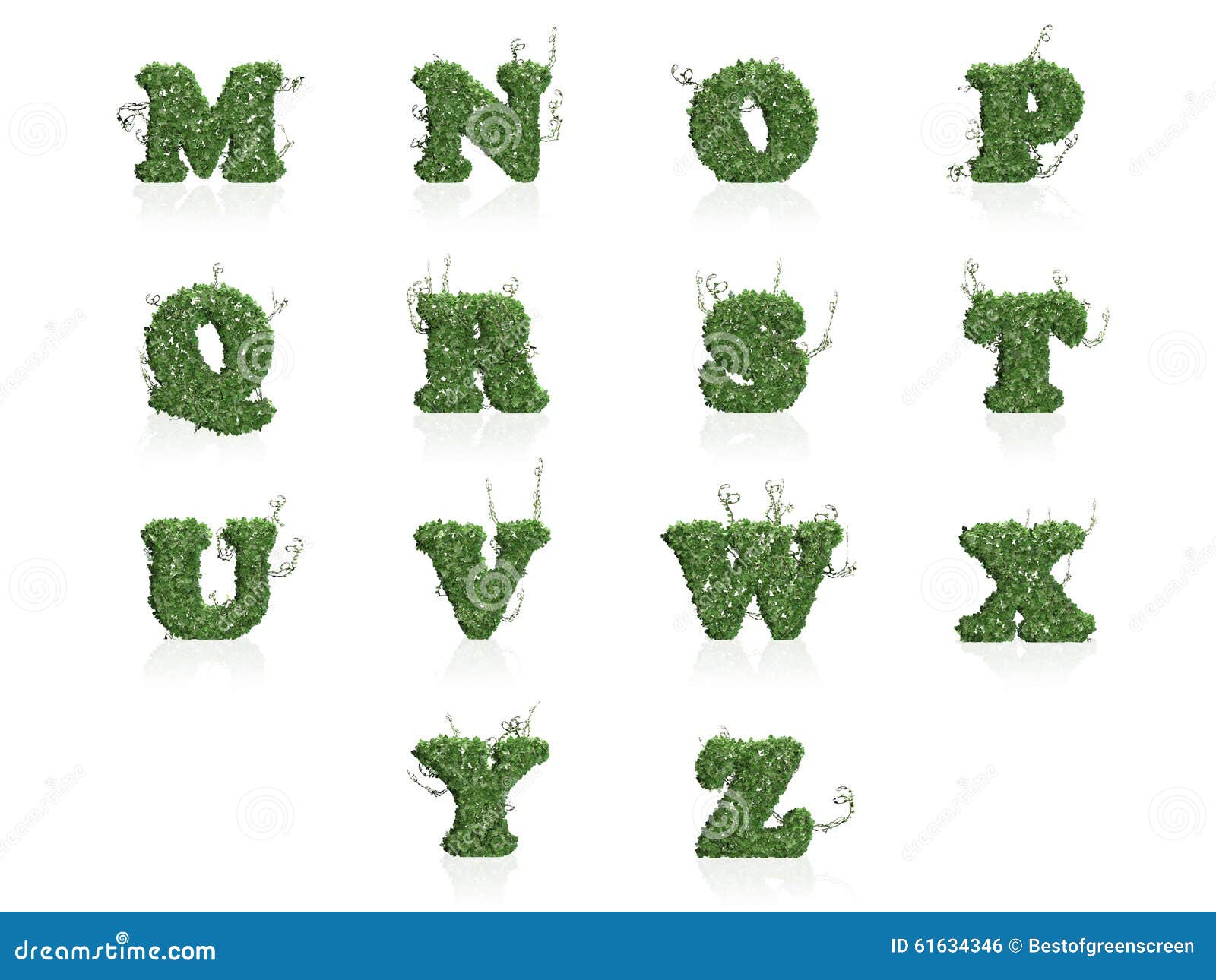 Letters M - Z of Green Ivy Leaves with Reflection Stock Illustration ...