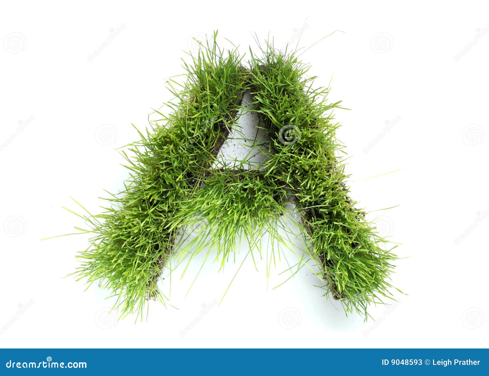 Letters made of grass stock image. Image of letters, character - 9048593
