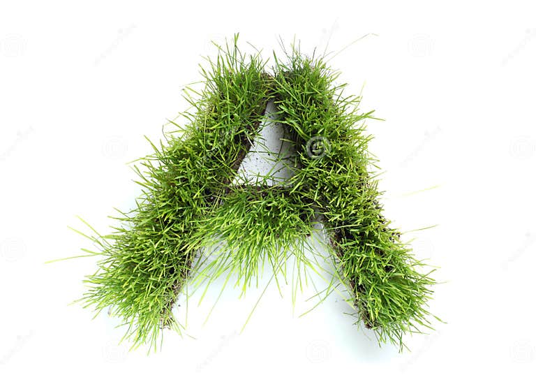 Letters made of grass stock image. Image of letters, character - 9048593