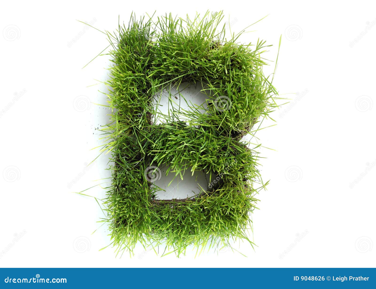 Letters made of grass stock photo. Image of design, ecology - 9048626