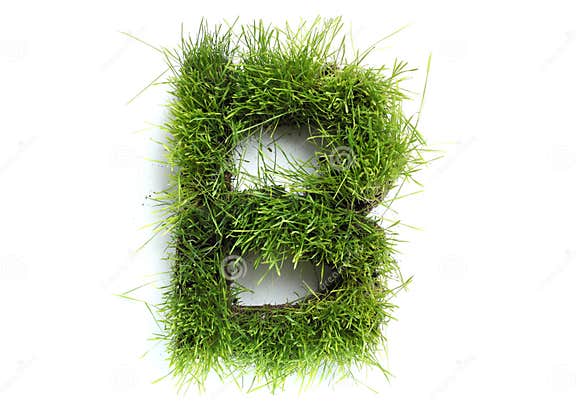 Letters made of grass stock photo. Image of design, ecology - 9048626