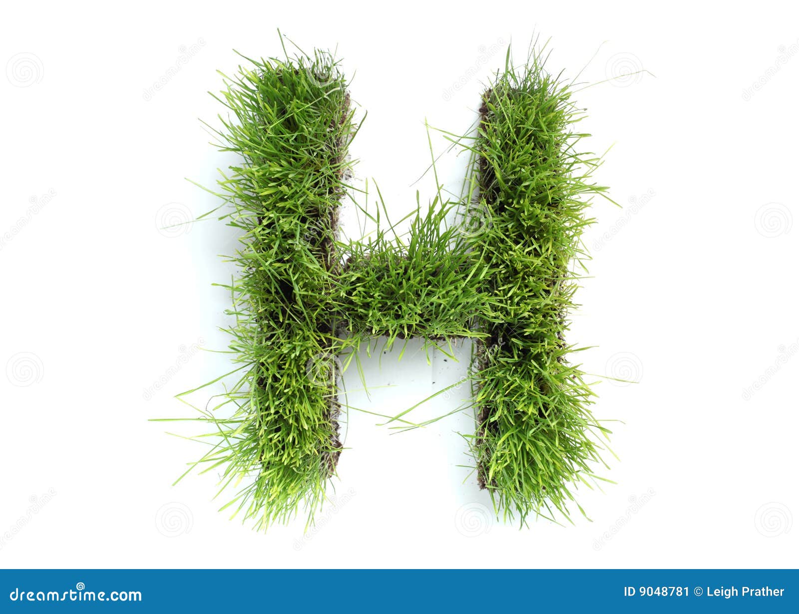 Letters made of grass stock image. Image of isolated, environment - 9048781