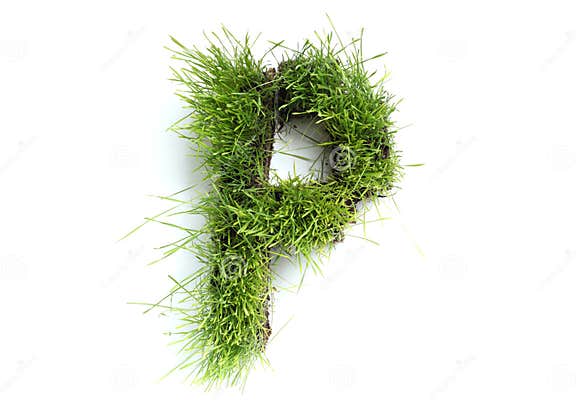 Letters made of grass stock image. Image of shape, ecology - 9049055