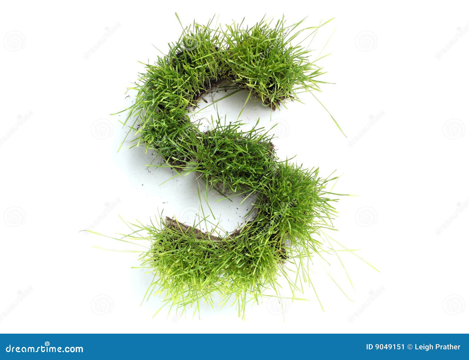 Letters made of grass stock image. Image of fresh, organic - 9049151