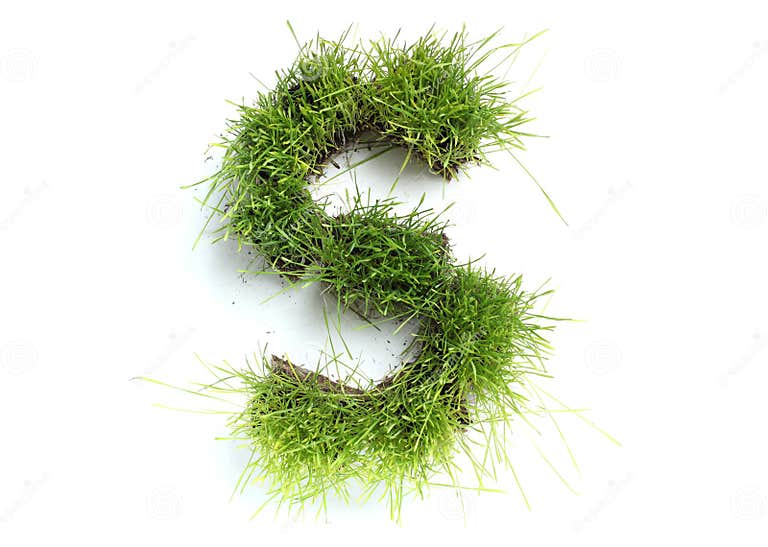 Letters made of grass stock image. Image of fresh, organic - 9049151