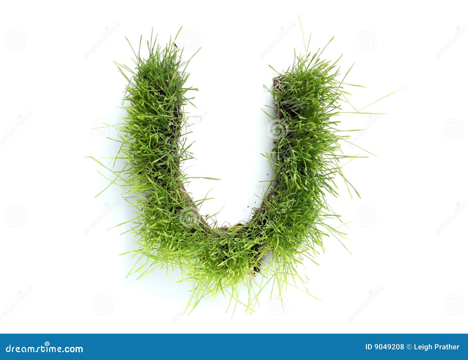 Letters Made Of Grass Stock Photography | CartoonDealer.com #9049208