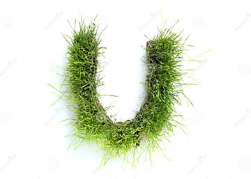 Letters made of grass stock photo. Image of summer, fresh - 9049208