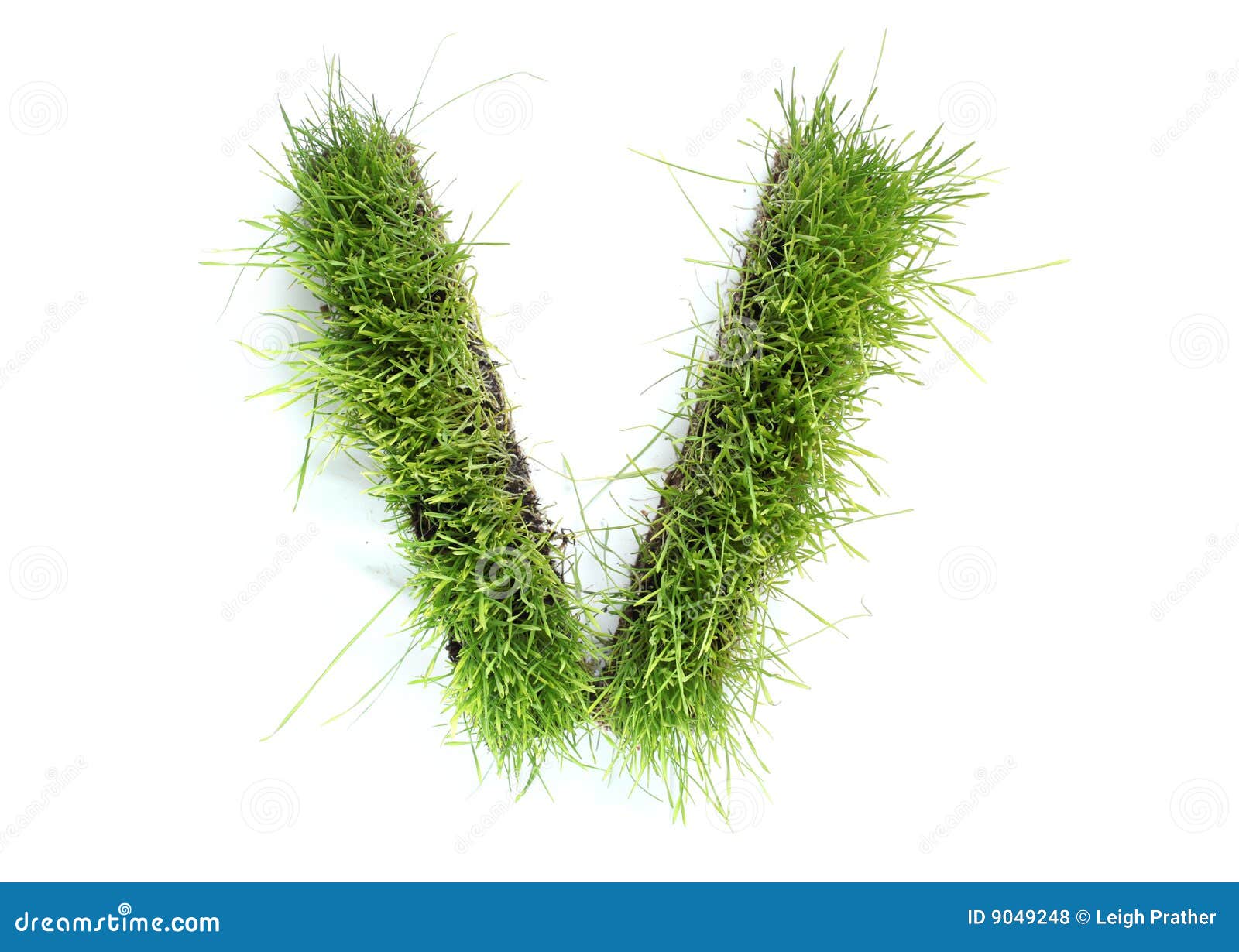 Letters made of grass stock photo. Image of spring, beautiful - 9049248