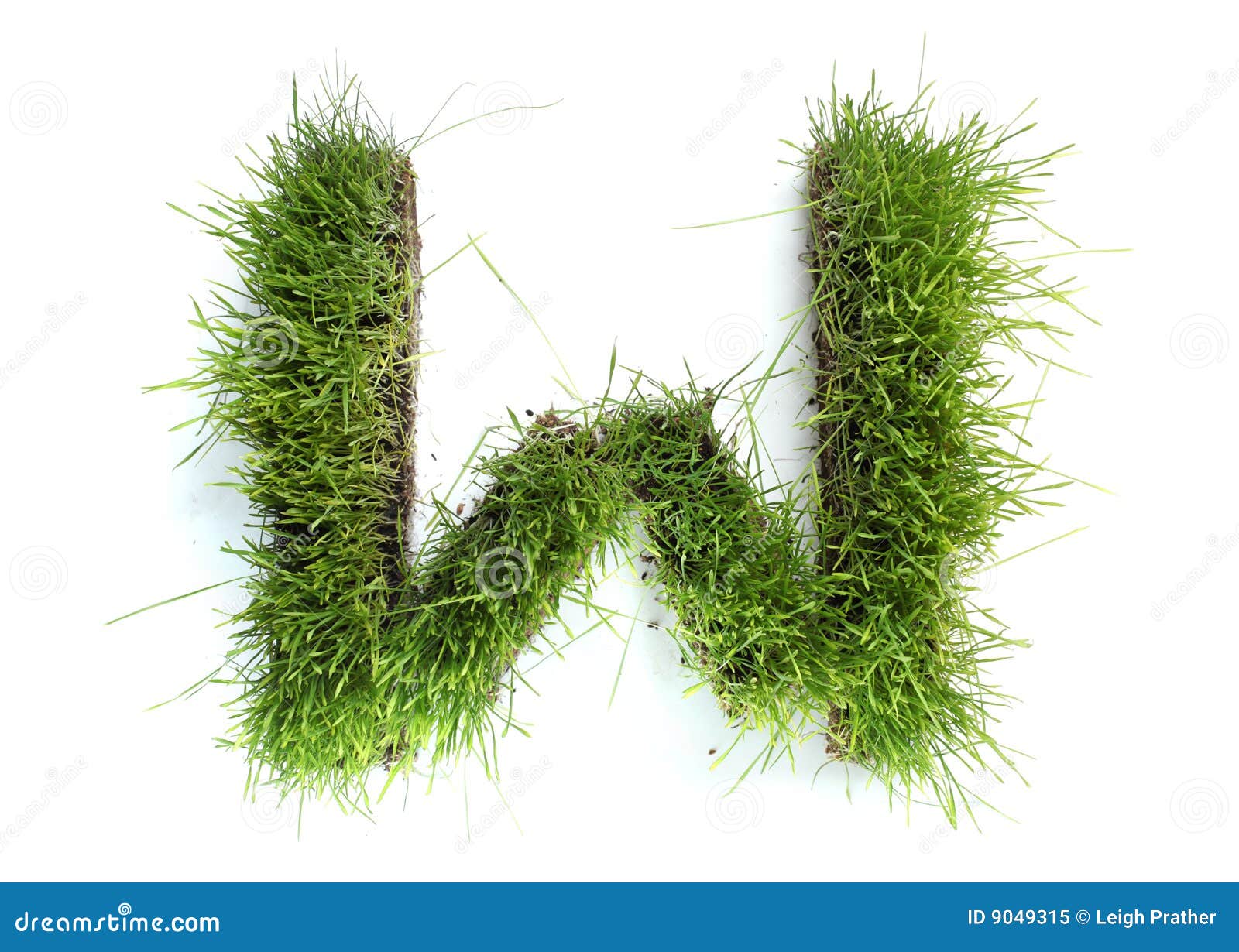 Letters made of grass stock image. Image of lawn, design - 9049315