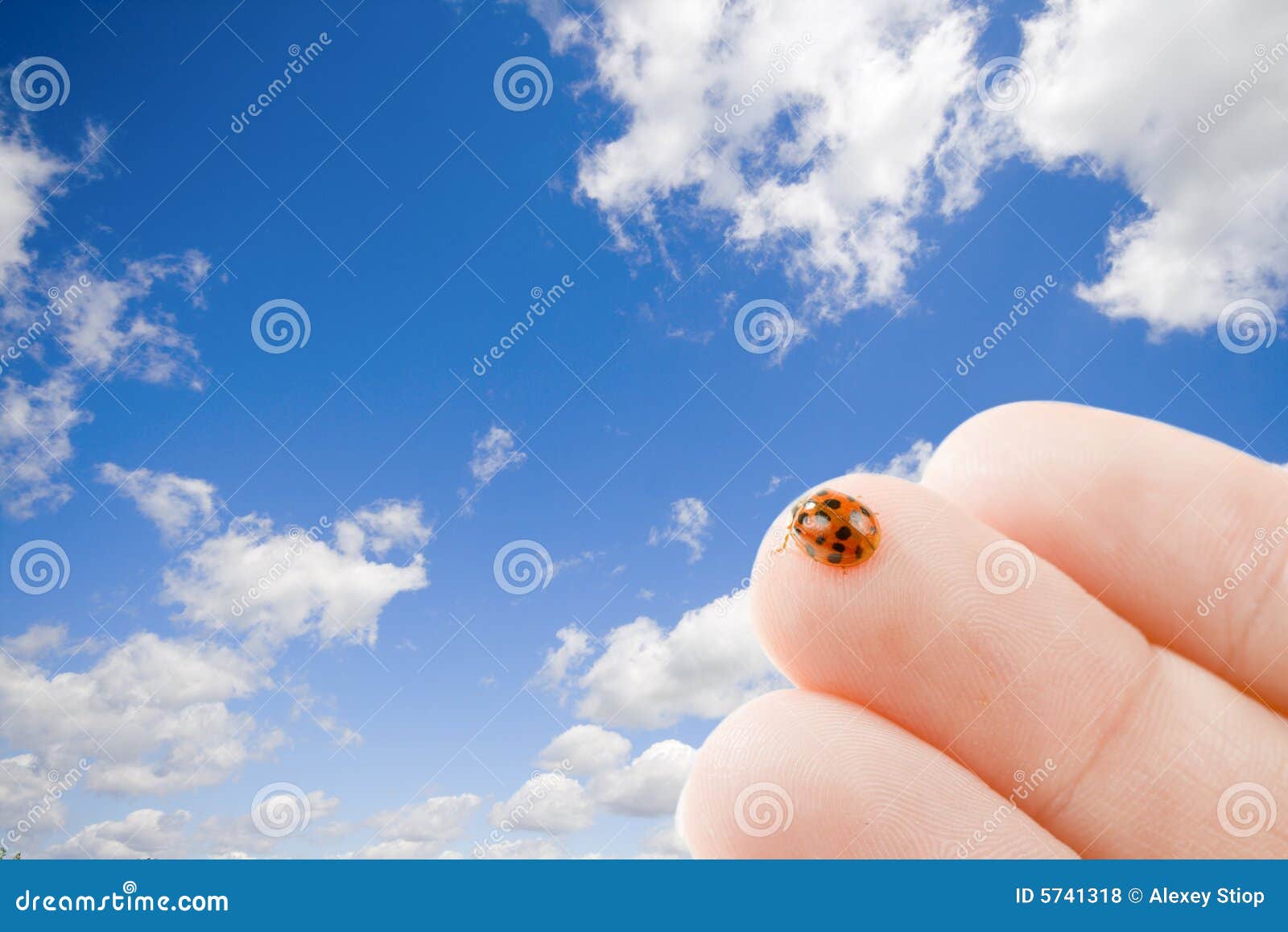 Letting go stock photo. Image of background, cloudscape - 5741318