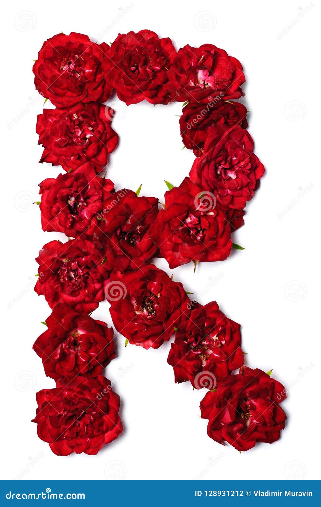 Lettre R Des Fleurs De Rose De Rouge Photo stock - Image du alphabet ...