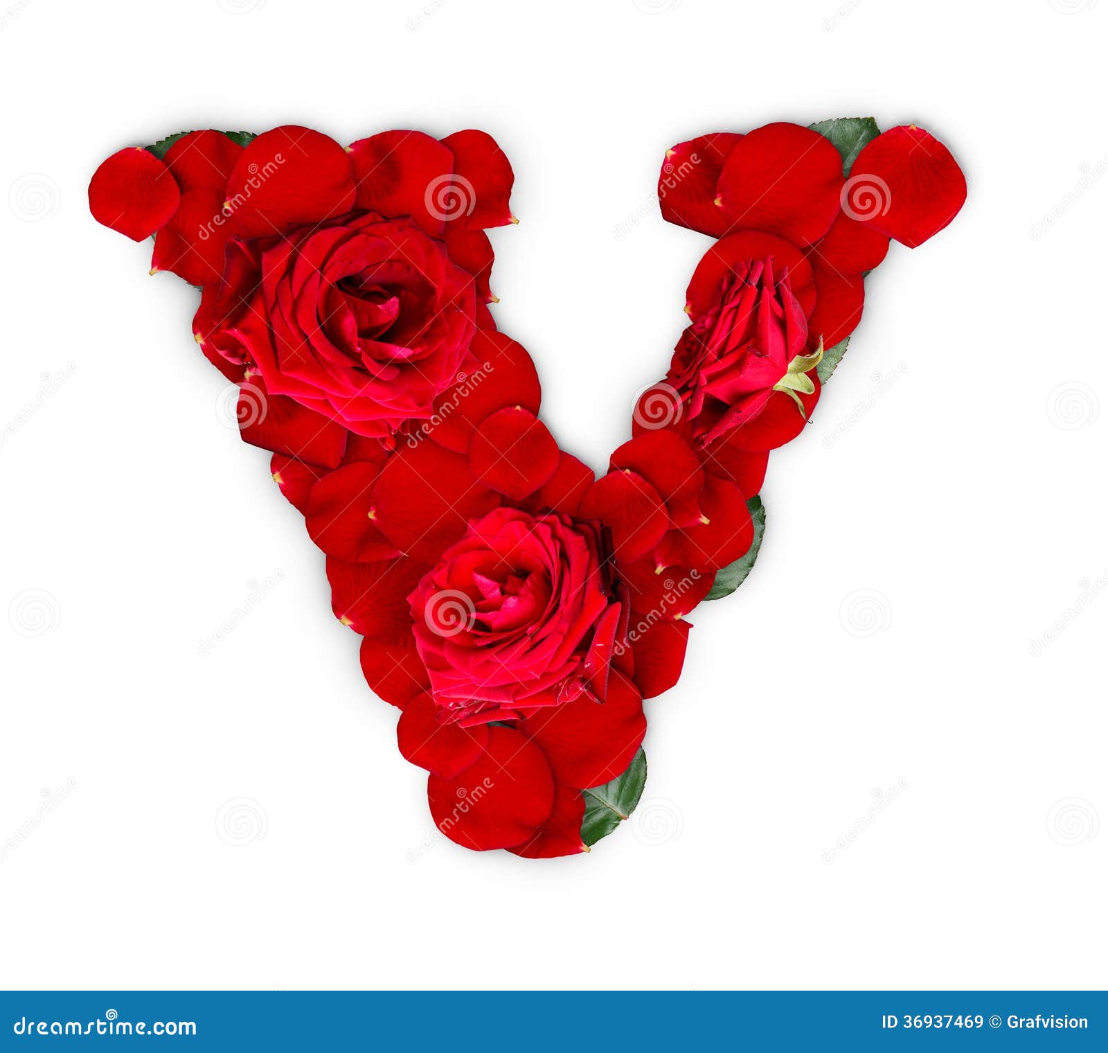 Lettre V image stock. Image du taper, nature, caractère - 36937469