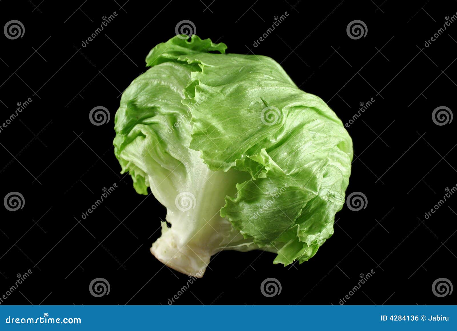 Lettuce 1 stock photo. Image of ingredient, calorie, vegetarian - 4284136