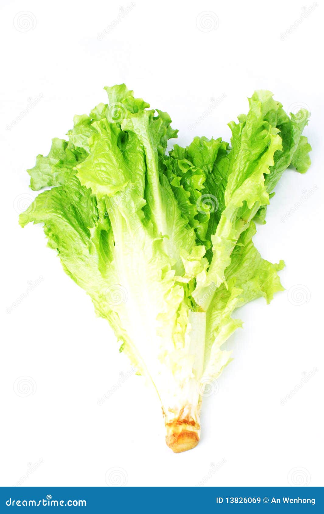 1,230 Lettuce Bouquet Stock Photos - Free & Royalty-Free Stock Photos ...