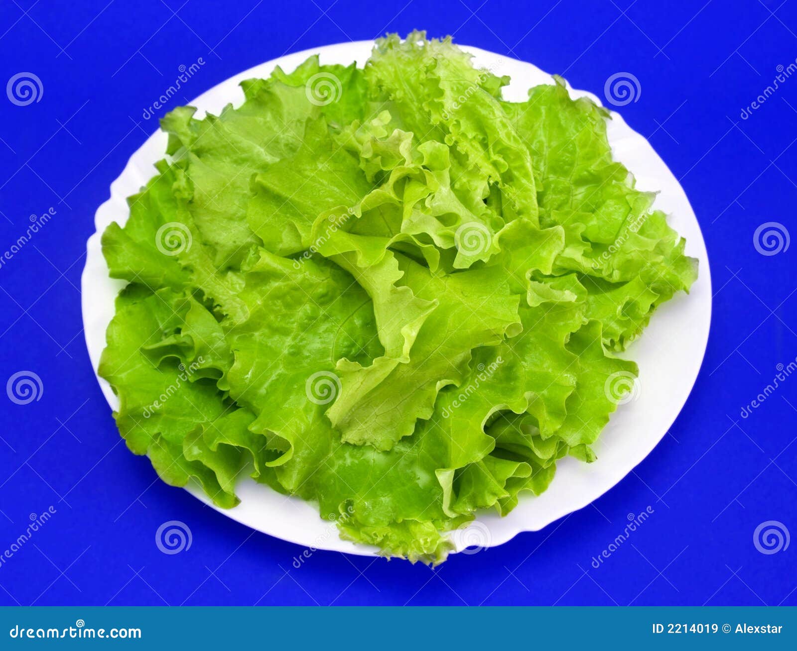 Lettuce 3 stock image. Image of vegetable, bright, chlorophyll - 2214019