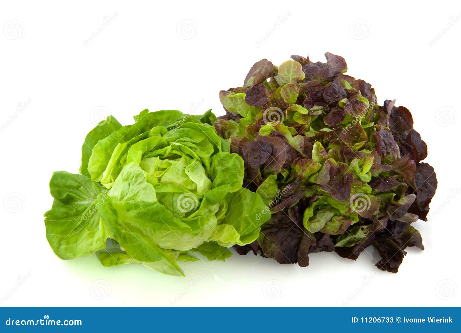 Lettuce assortment stock image. Image of vegetables, salad - 11206733