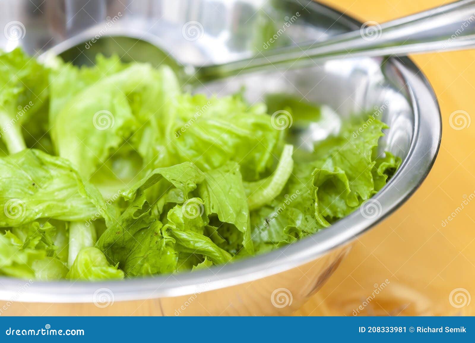 Lettuce in bowl stock image. Image of still, meal, gastronomy - 208333981