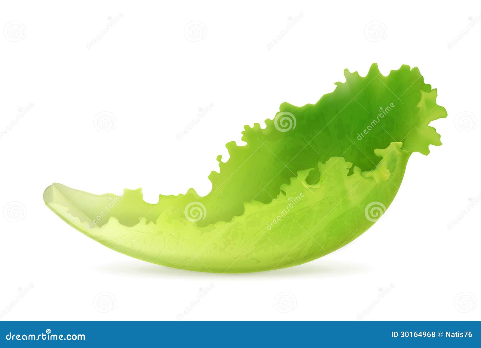 Lettuce Cartoons, Illustrations & Vector Stock Images - 287092 Pictures ...