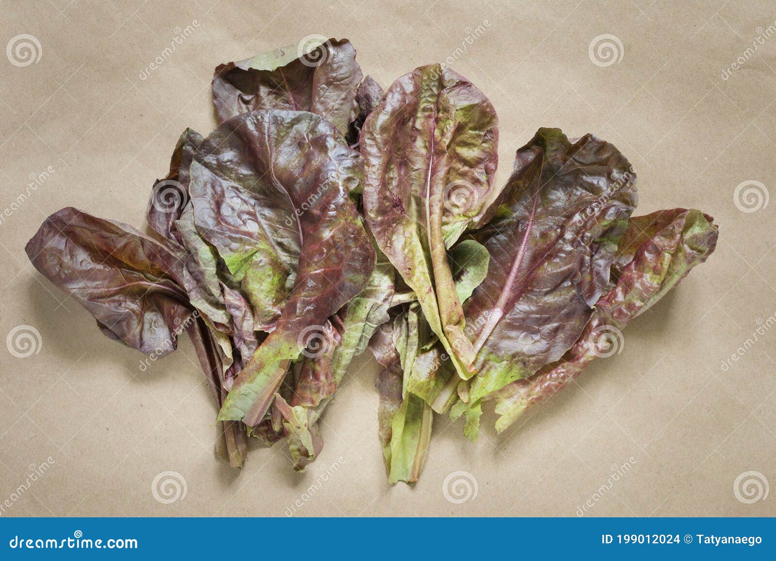 Lettuce on craft paper stock photo. Image of ecology - 199012024