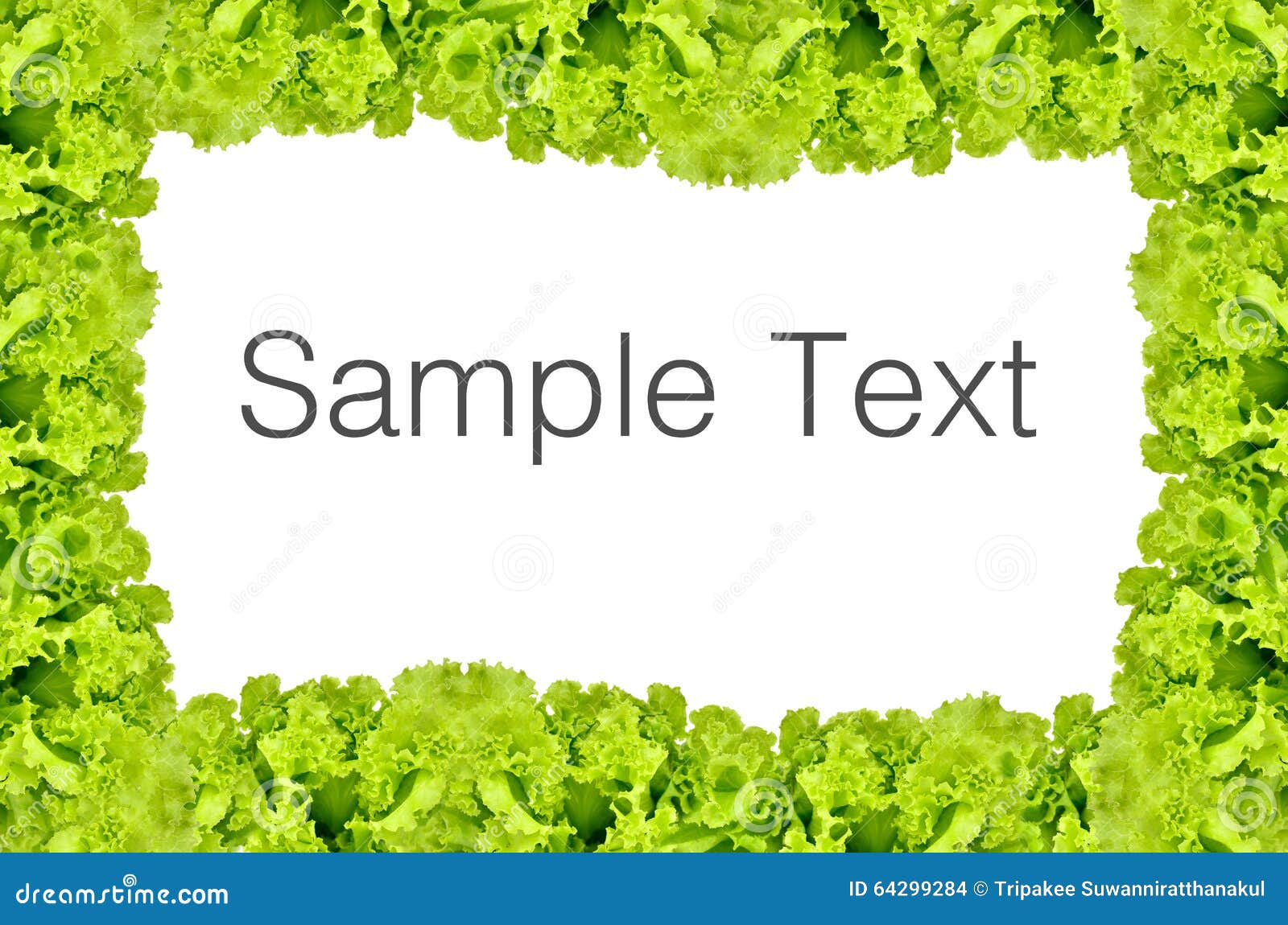 Lettuce frame stock photo. Image of ingredient, snack - 64299284