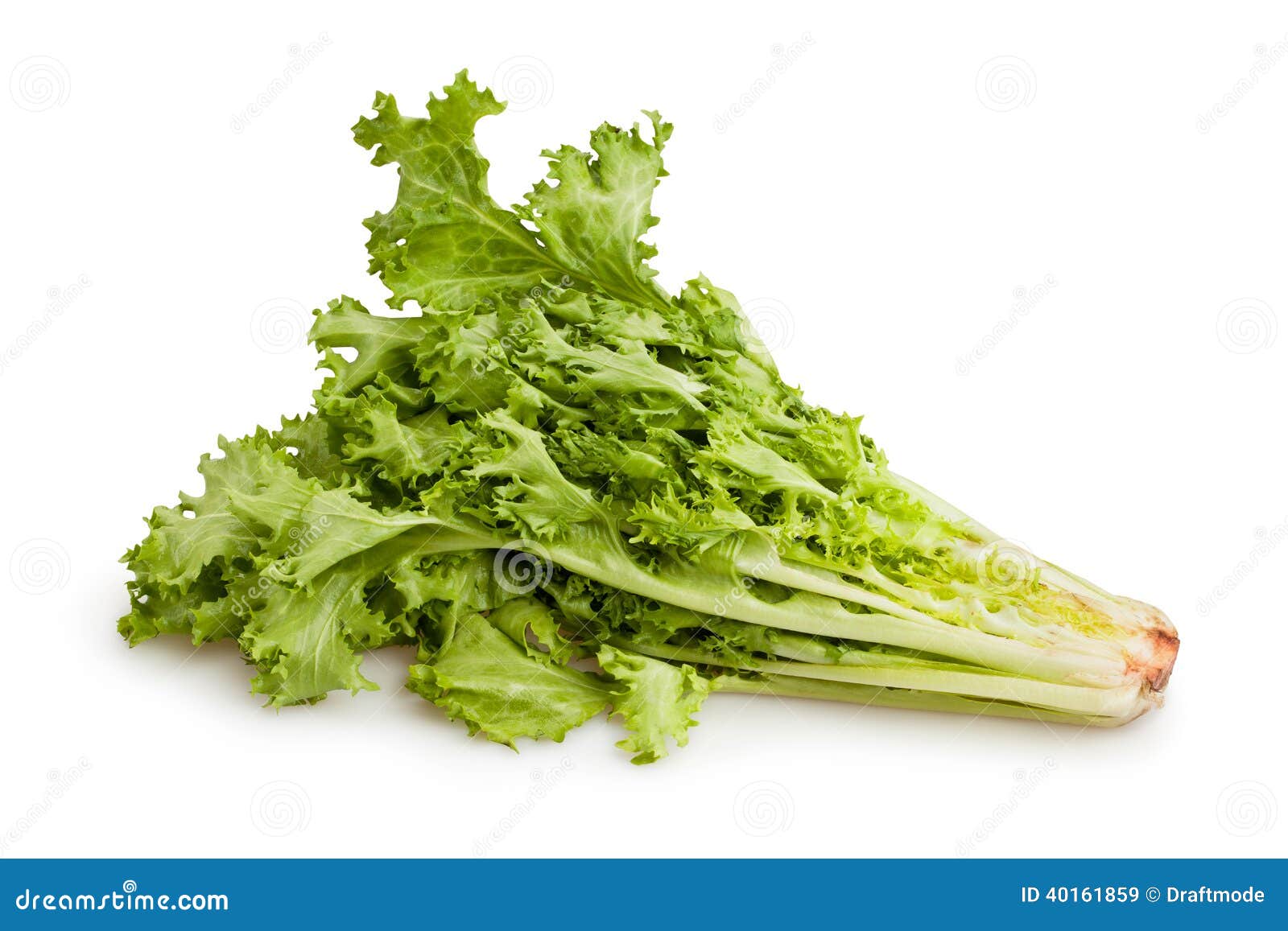 493 Frieze Lettuce Stock Photos - Free & Royalty-Free Stock Photos from ...