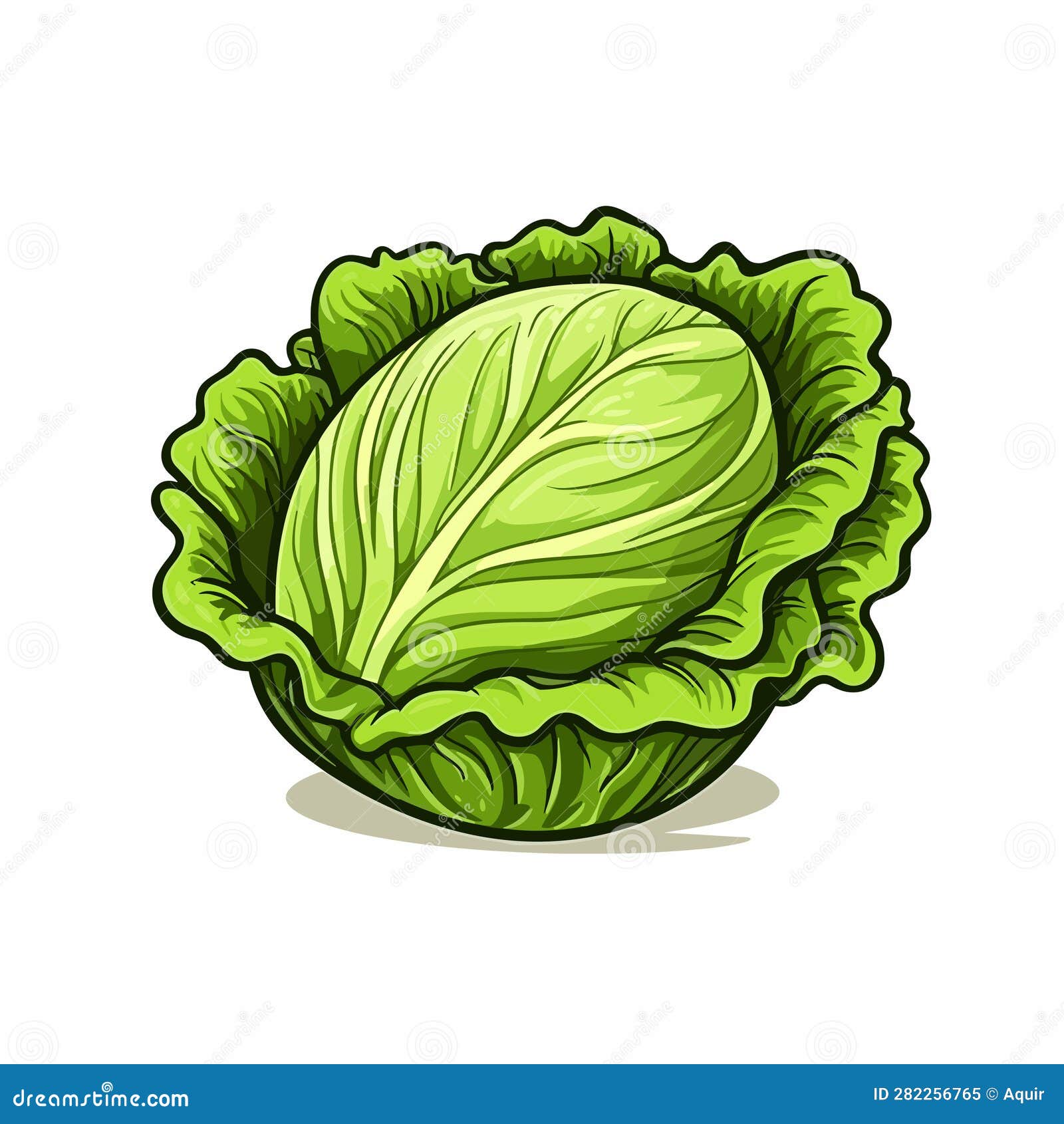 Lettuce Hand-drawn Illustration. Lettuce. Vector Doodle Style Cartoon ...