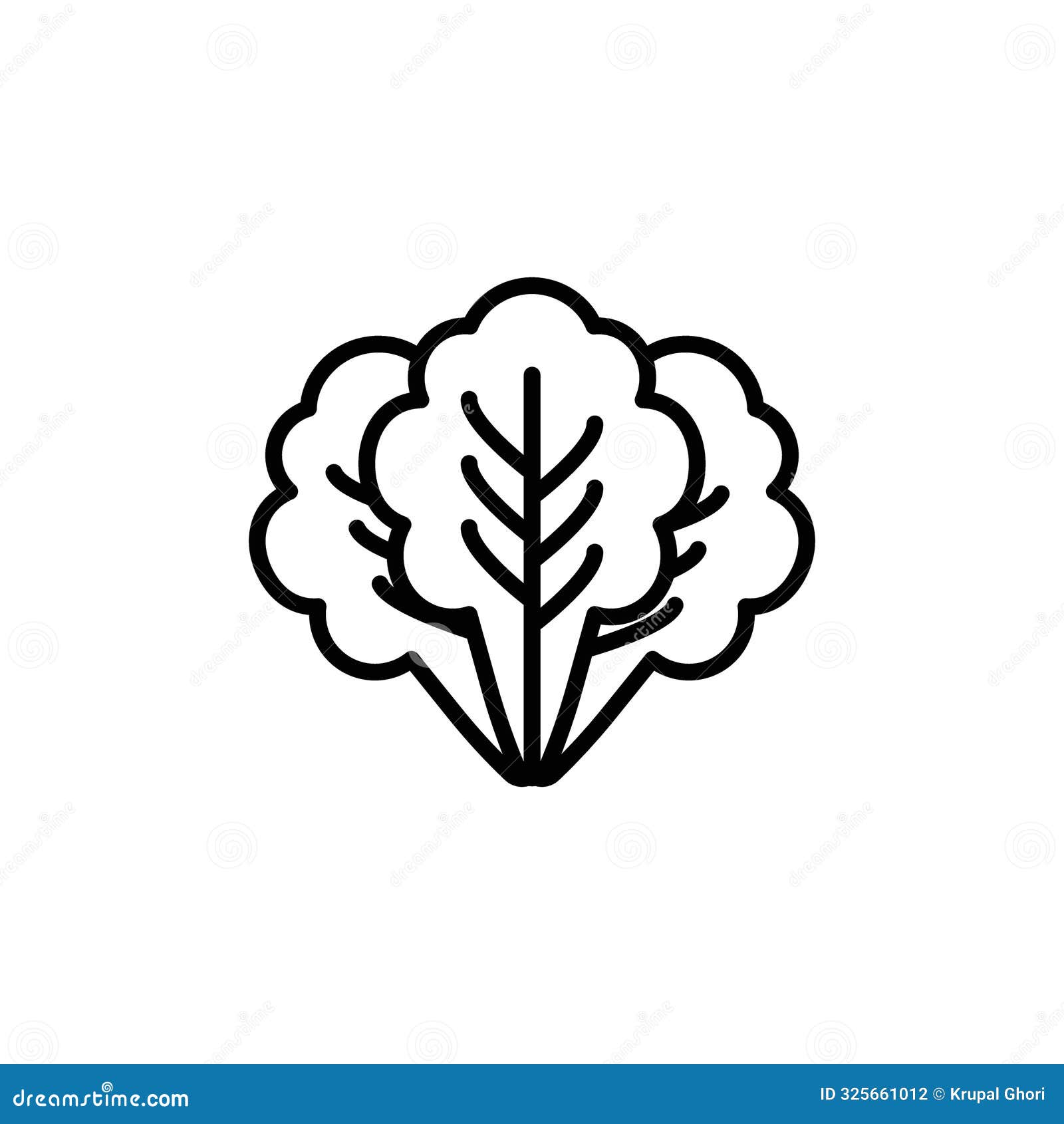 Lettuce Icon Set Fresh Vegetable Illustrations for Food and Nutrition ...