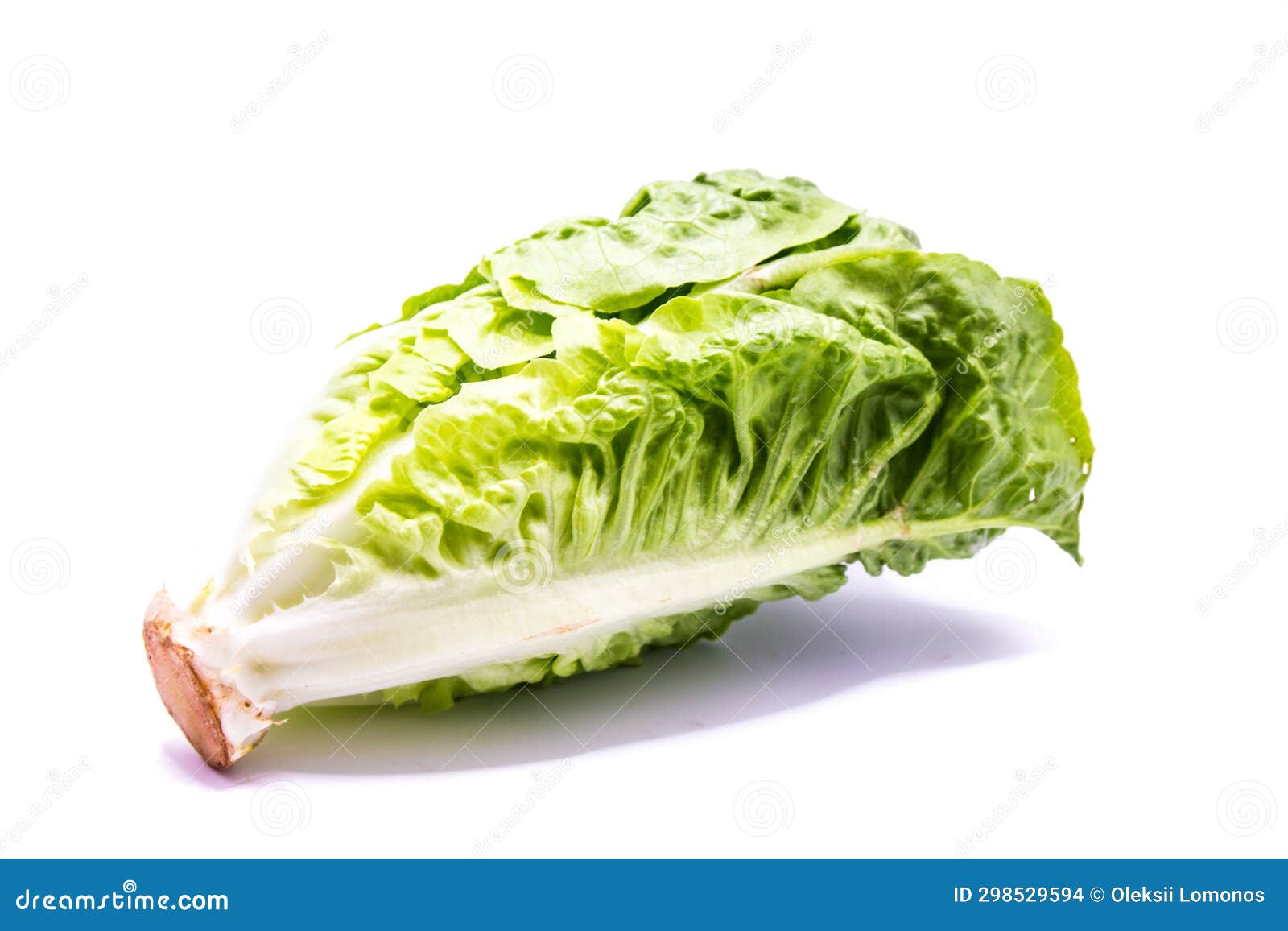 A Lettuce Leaf is Shown on a White Background with a Red Tip in the ...