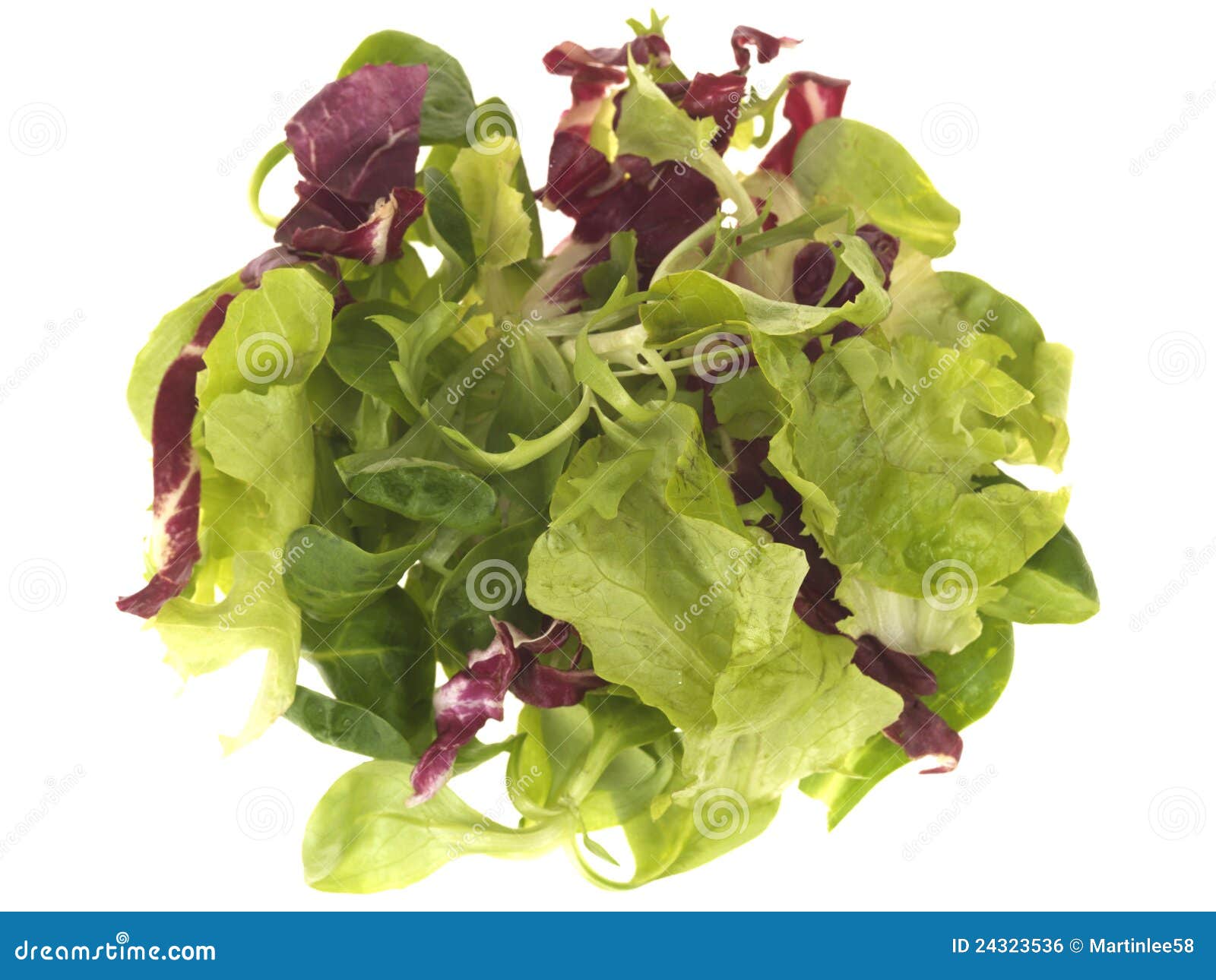 Lettuce Leaves stock photo. Image of isolated, leaves - 24323536