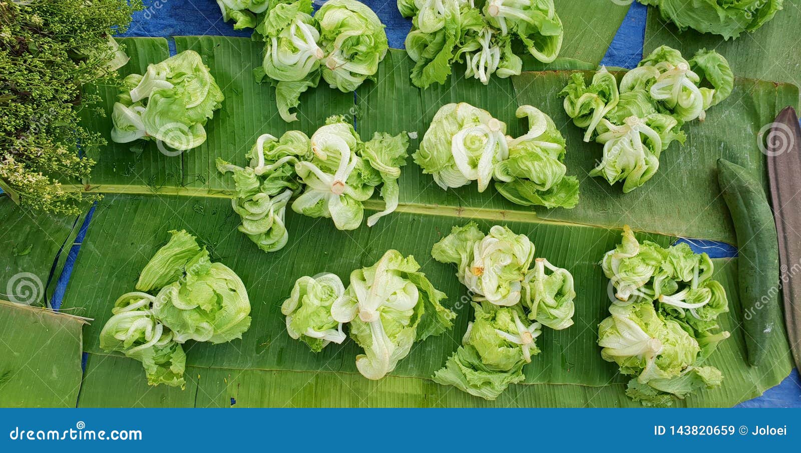 Lettuce in Local Fresh Market Stock Image - Image of green, leaf: 143820659