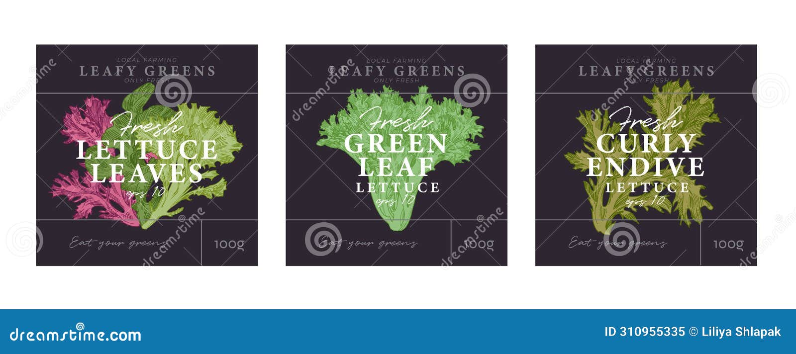 Lettuce Packaging Template on Black Stock Illustration - Illustration ...