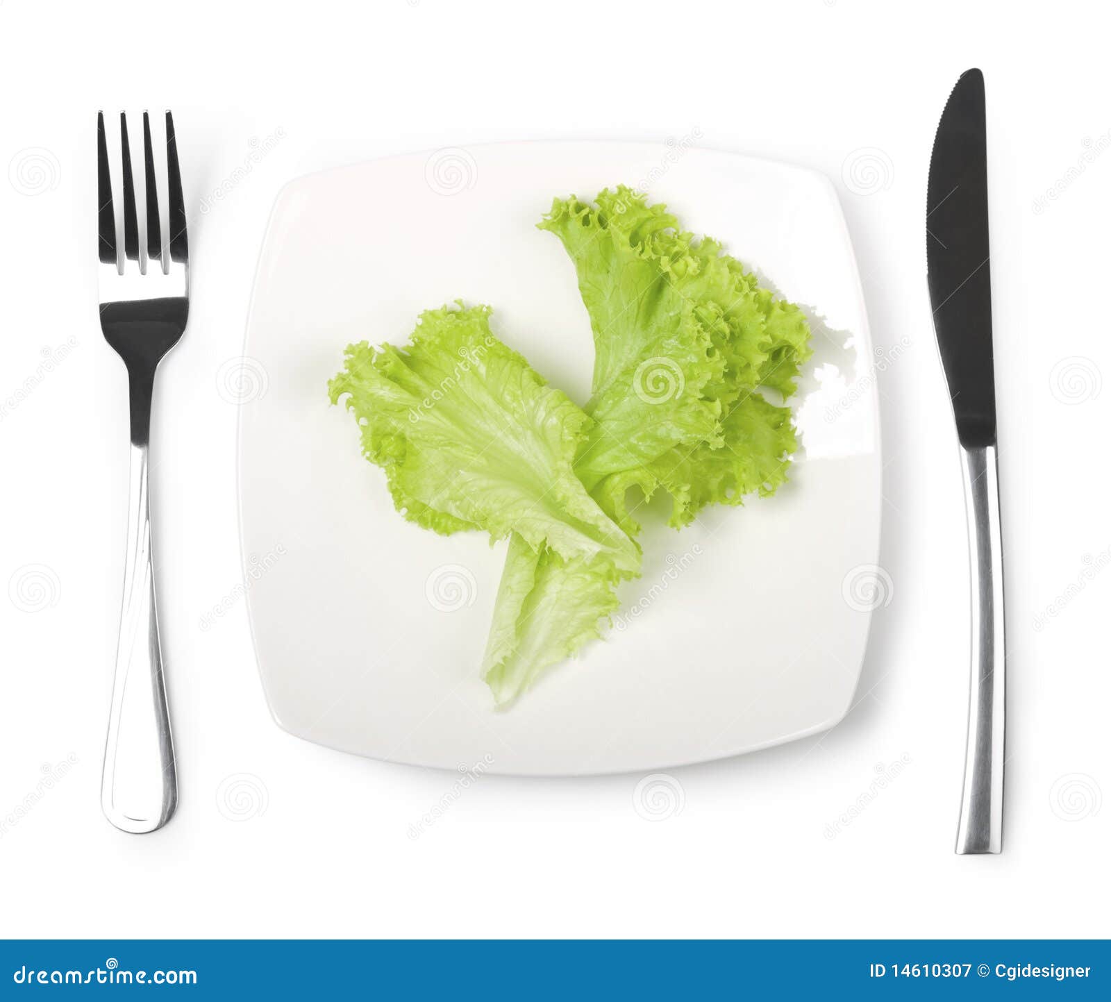 Lettuce on plate stock image. Image of vegetable, clipping - 14610307
