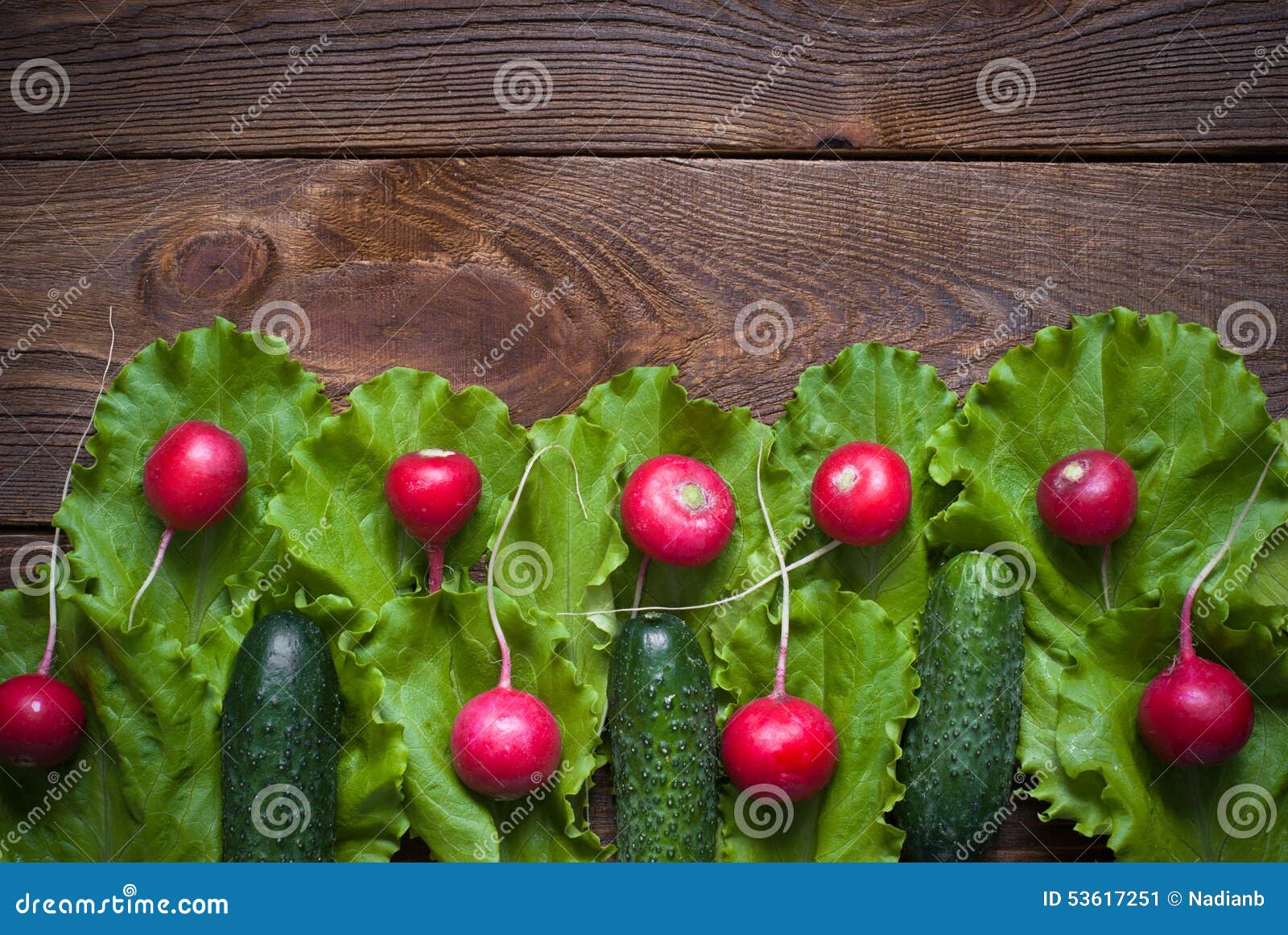 Lettuce and radishes stock image. Image of freshness - 53617251