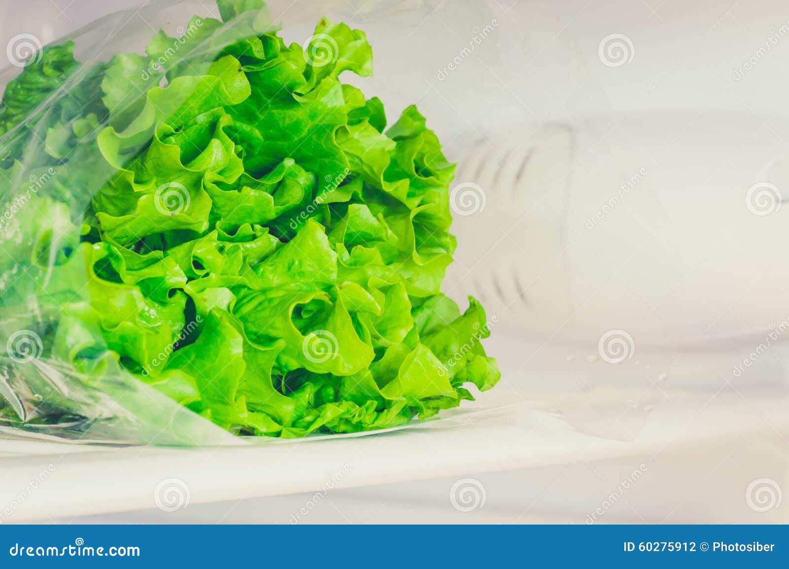 Lettuce in the Refrigerator at Home Stock Photo - Image of healthy ...
