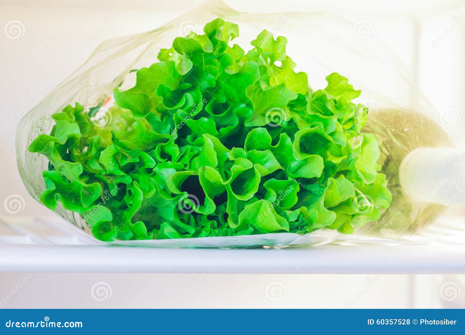 Lettuce in the Refrigerator at Home Stock Photo - Image of organic ...