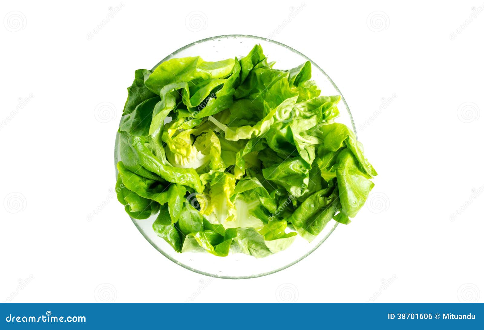 Lettuce Salad in a Glass Bowl Stock Photo - Image of meal, nature: 38701606
