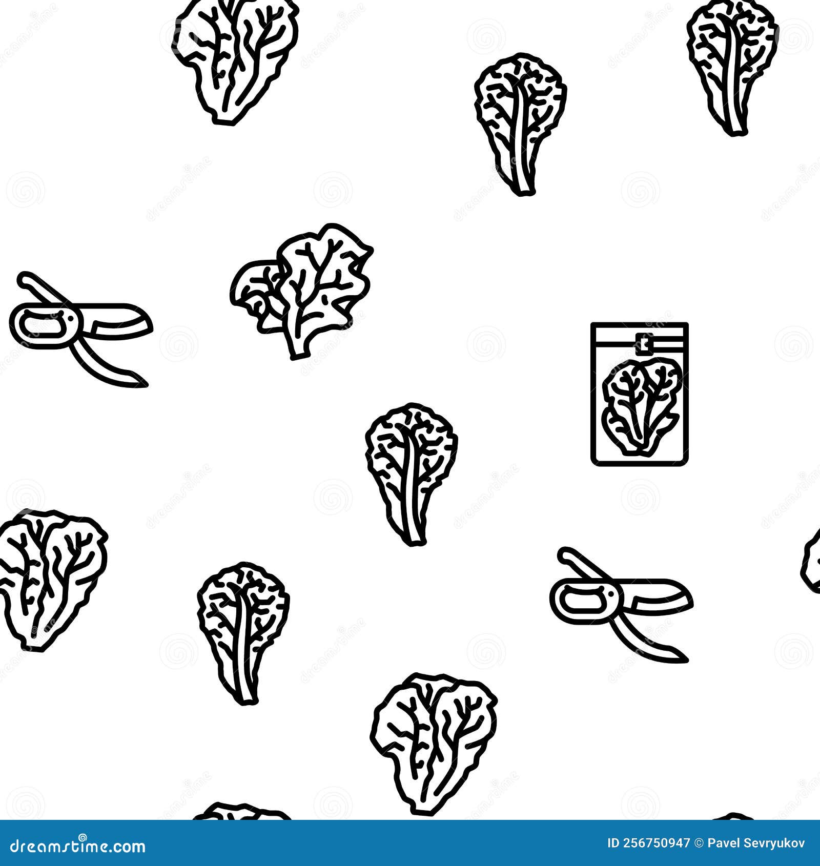 Lettuce Salad Leaf Vegetable Vector Seamless Pattern Stock Vector ...